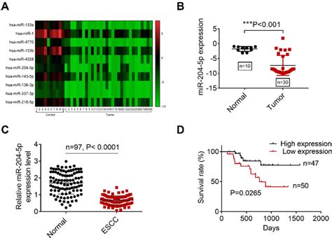 mir 204 5p expression was declined in escc a heat map of