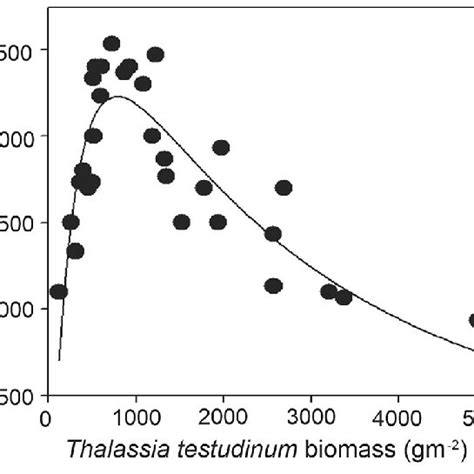 Relationship Between Benthic Macrofaunal Density And Thalassia