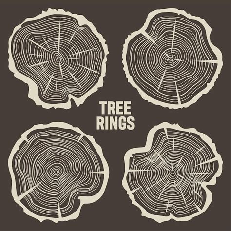 Premium Vector Round Tree Trunk Cuts With Cracks Sawn Pine Or Oak Slices Lumber Saw Cut Timber