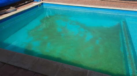 How To Get Rid Of Algae In Pool Quickly Easy Pool Cleaning