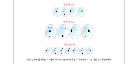 유방갑상선클리닉 담소유병원