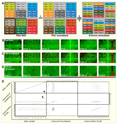 A Data Analysis Pipeline Was Developed Using The Knime Software A Data Analysis Pipeline Was Developed Using The Knime Software