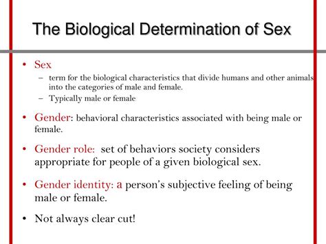 PPT CHAPTER 7 PowerPoint Presentation Free Download ID 790453