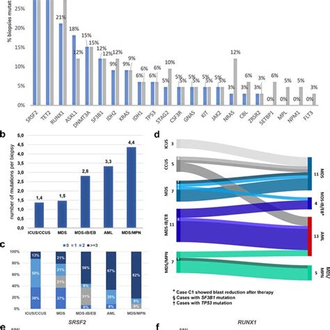 Mutation Frequencies And Clonal Evolution A Mutational Spectrum And