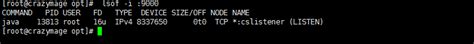 linux 查看端口占用并杀掉 linux查看9000端口 csdn博客