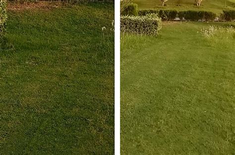 Huawei Y P Review Good Performance Ordinary Camera Phoneyear