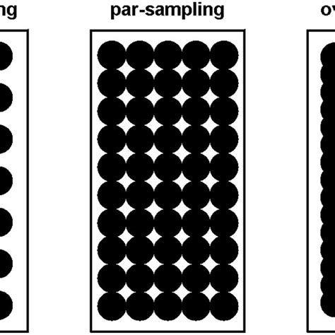 A Diagram Summarising The Different Sampling Modes Used In The Raman