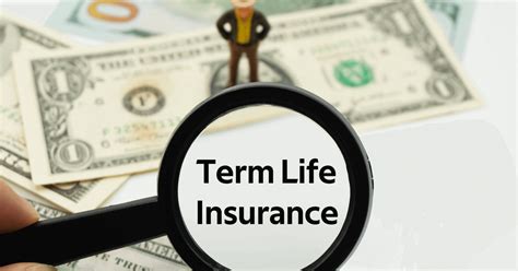 Surrender Value In Term Insurance Types And How It Is Calculated