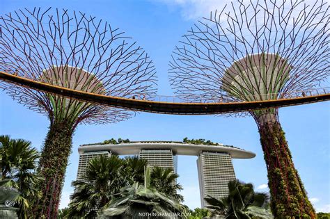 How To Walk The Ocbc Skyway At Supertree Grove