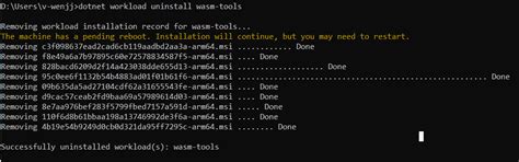 NETSDKE E With NET Preview SDK Installed Component Names Display Incorrectly When