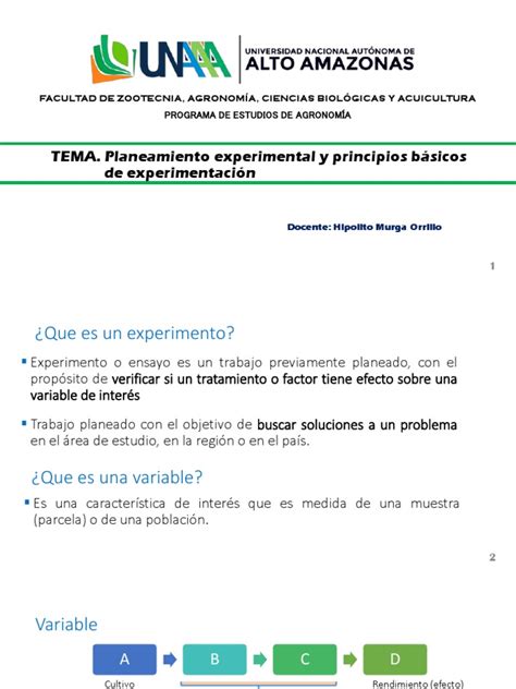 Clase 2 Planeamiento Experimental Y Principios Basicos De Experimentacion Pdf Experimentar