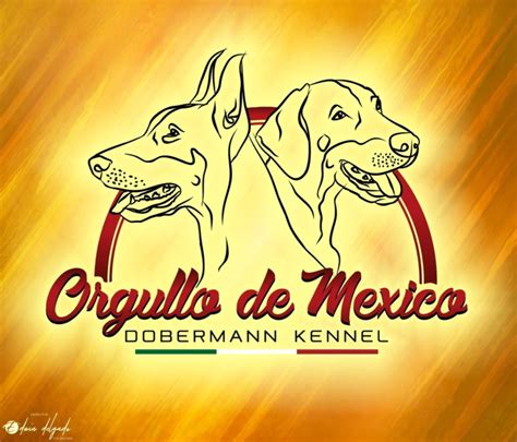 Doberman México Doberman Sexo Opuesto De La Raza En Westminster