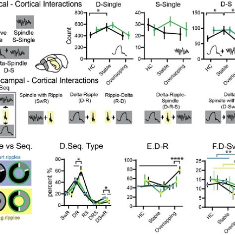 Oscillation Interactions A Cortical Interactions Oscillations Can Be Download Scientific