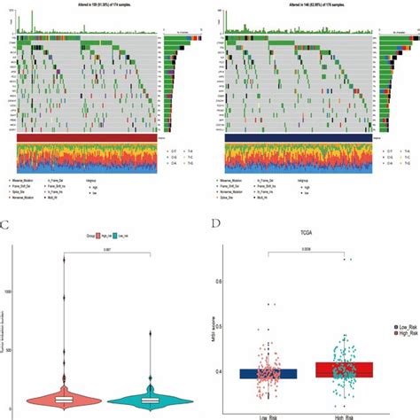 Gene Mutation Landscape Of Tumor Cells In High Risk And Low Risk