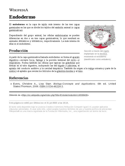 Endodermo Pdf