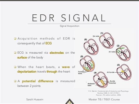 Electrocardiogramm Derived Respiratory Signal Edr Signal