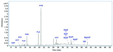 sim chromatogram showing identified pahs download scientific diagram
