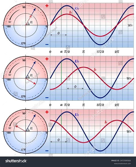 Phasor Diagrams Sinusoidal Waveform Stock Vector Royalty Free