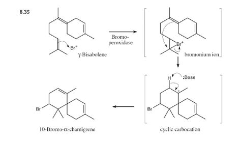 Solved Im Really Confused On This Homework Problem Because I