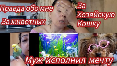 Очень интересное видео получилось Смотреть ВСЕМ мариупольсегодня Youtube