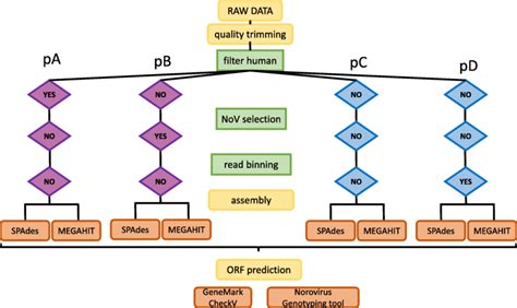 analysis workflow yellow boxes are common steps and green boxes
