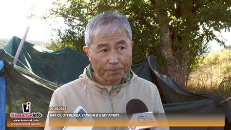 Казанлък инфо Как се отглежда уасаби в България