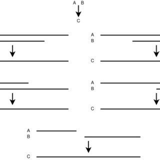 Methods Of Combination This Figure Shows The Five General Combination Download Scientific