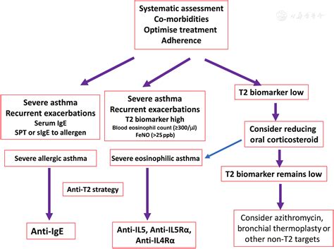 Severe Asthma Phenotypes At Jacob Honda Blog Severe Asthma Phenotypes At Jacob Honda Blog