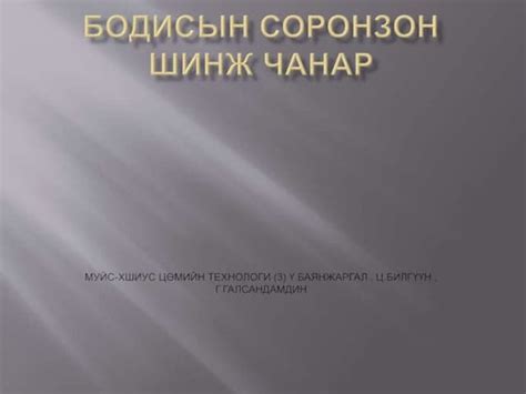 цахилгаан соронзон орон Pptx