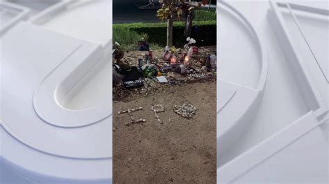 Paul Walker Fans Pay Respect 12 Years After Death Fox 11 Los Angeles