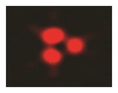 Povs Intensity Patterns And Their Respective Experimental Fraunhofer