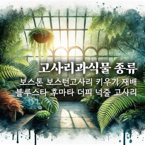 고사리과식물 종류 보스턴고사리 키우기 보스톤 고사리 재배 블루스타 후마타 더피 넉줄 고사리 네이버 블로그