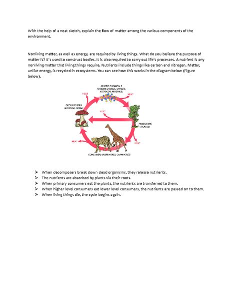 Neat Sketch Document With The Help Of A Neat Sketch Explain The Flow Of Matter Among The