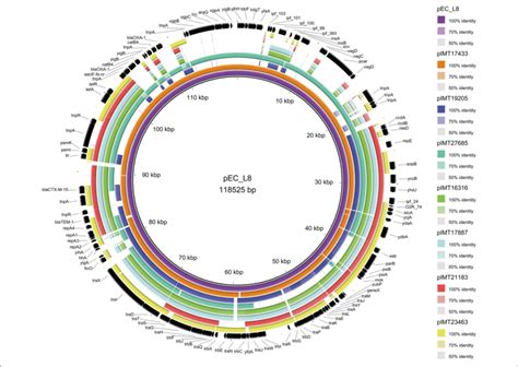 Circular Visualization Of The Seven Wild Type Esbl Plasmid Sequences