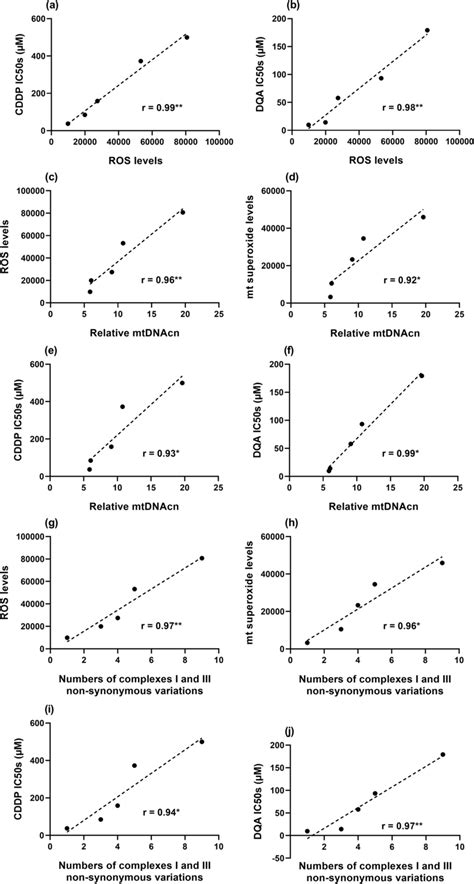Positive Correlation Between The Baseline Intracellular Ros Level And