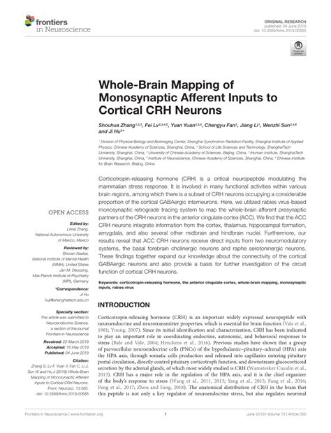 Pdf Whole Brain Mapping Of Monosynaptic Afferent Inputs To Cortical Crh Neurons