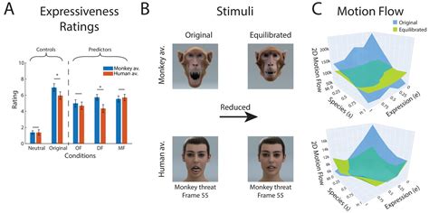 Figures And Data In Shape Invariant Encoding Of Dynamic Primate Facial Expressions In Human