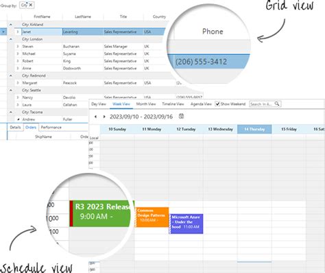 Themes Style Telerik Ui For Winforms