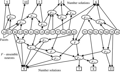 Faceted Active Neural Network Structure Download Scientific Diagram