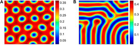 Frontiers Linking The Pattern Structures To System Robustness Based On Dynamical Models And