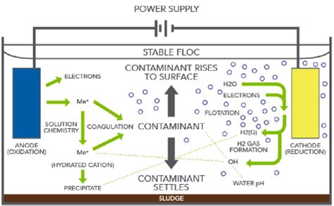 Schematic Diagram Of Simple Ec Cell Download Scientific Diagram