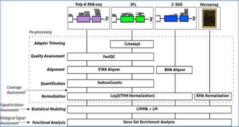 Sparse Full Length Sequencing A Highly Multiplexed Ribosomal Rna