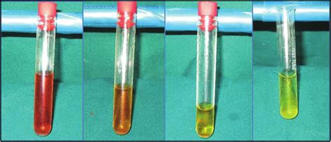 Bana Test Plaque Samples Positive Red Weakly Positive Reddish Download Scientific Diagram