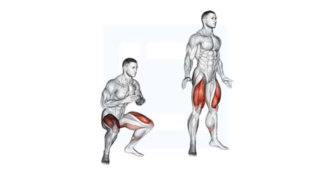Weighted Squat Guide Benefits And Form