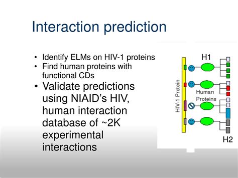 Ppt Modeling Virus Host Interaction Networks Powerpoint Presentation
