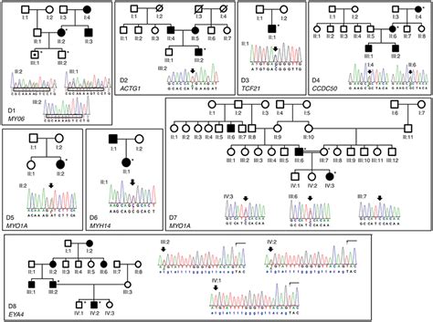 Pedigrees And Sequence Chromatograms Of The Autosomal Dominant Families Download Scientific