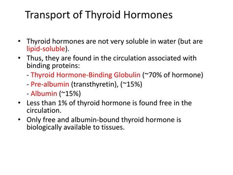 Ppt Production Regulation And Action Of Thyroid Hormones Powerpoint Presentation Id1786237