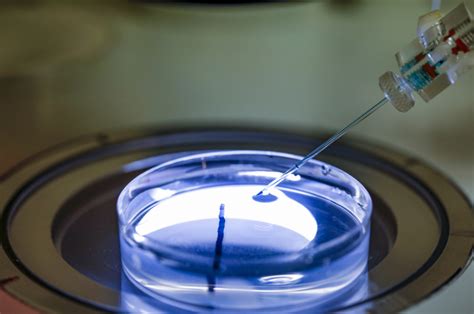 Why Research Stakeholders Are Supporting New European Legislation On