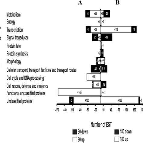 Functional Classification Of Differentially Expressed Genes In