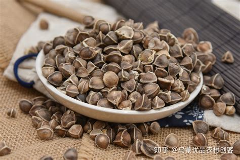 辣木籽这样吃比较好 知乎